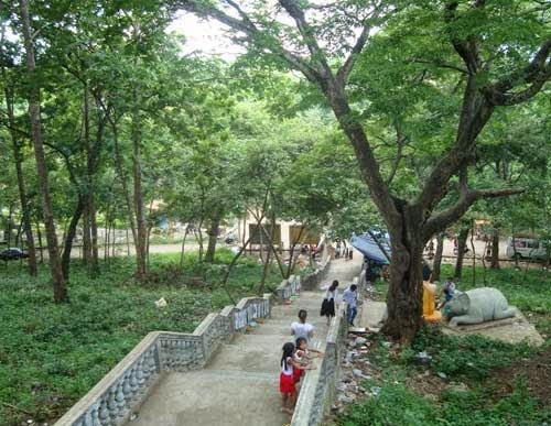 Phnom Pros and Phnom Srey | Passion Indochina Travel